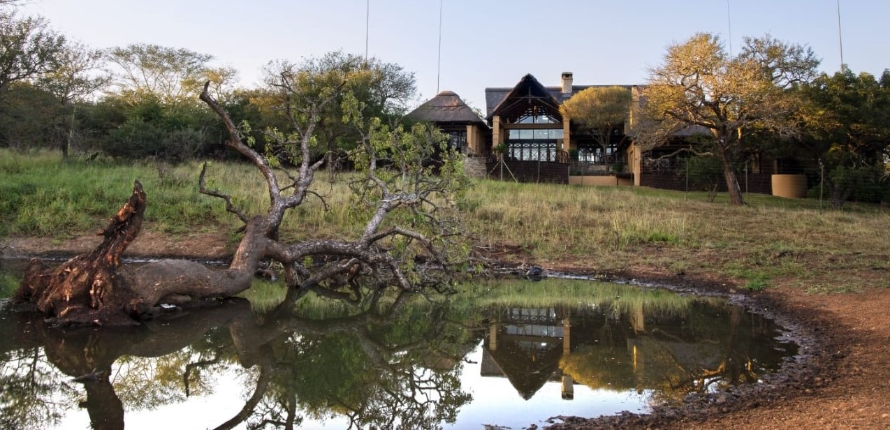 Marula Tree - Thanda